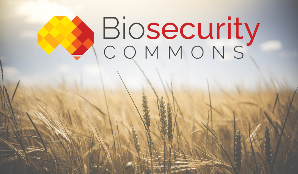 Biosecurity Commons secures investment for 2024 - Biosecurity Commons